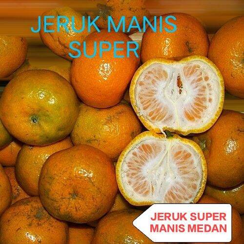 JERUK MEDAN | JERUK SUPER MANIS DARI MEDAN TANAH KARO 1 KG | Lazada ...