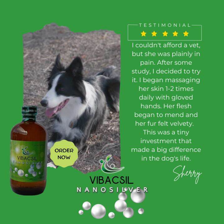 NanoSilver for Dogs, NanoSilver for Cats, Nano Silver for Pets, Nano ...