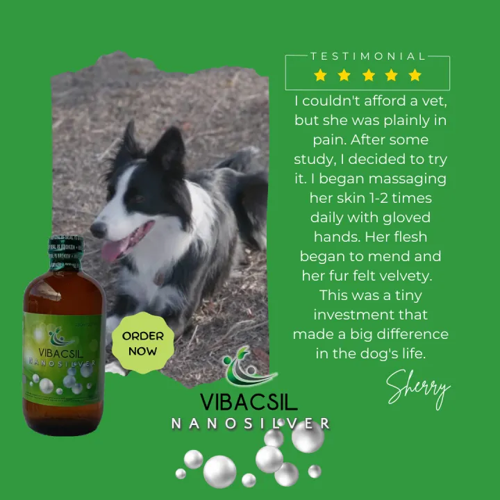 NanoSilver for Dogs, NanoSilver for Cats, Nano Silver for Pets, Nano ...
