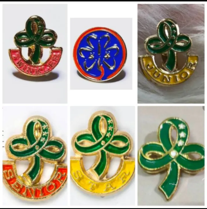 Scouting Pin For Girlscout | Lazada PH