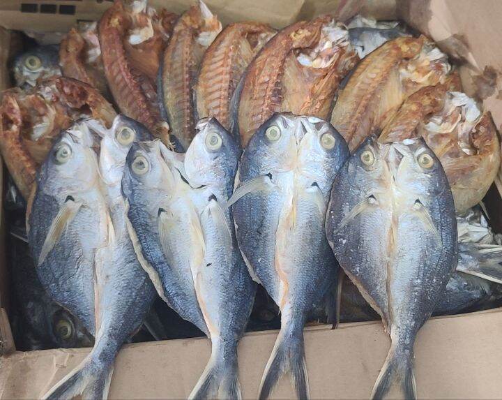 Dalagang Bukid Dried Fish 250g Palawan | Lazada PH
