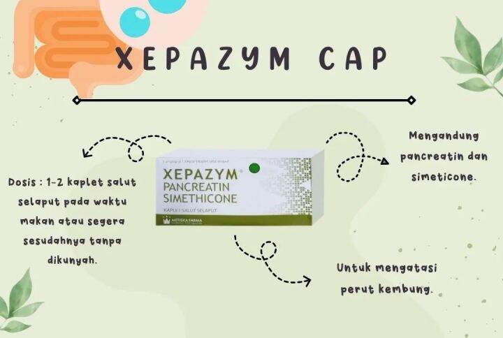 Xepazym obat lambung per strip 6 tablet | Lazada Indonesia