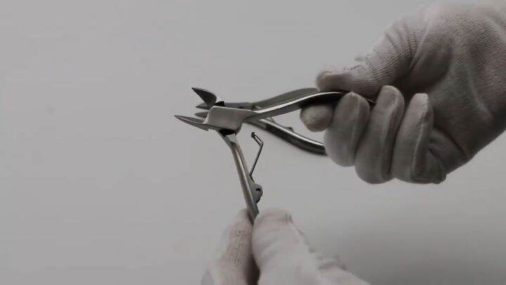 Stainless Pig Teeth Cutter Pig Tooth Nipper Piglets Teeth Clipper Pet ...