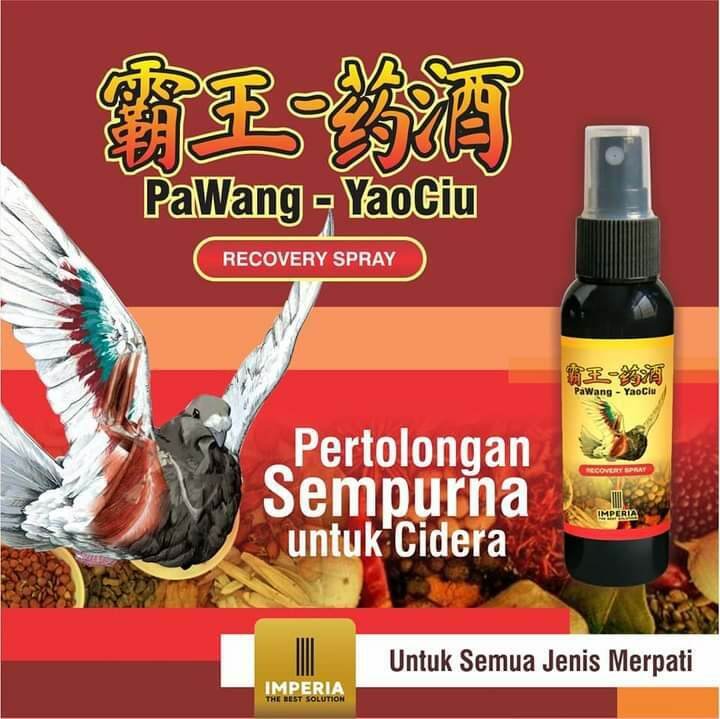 PaWang - YaoCiu Imperia (Recovery Spray) | Obat Merpati Cidera Karena ...