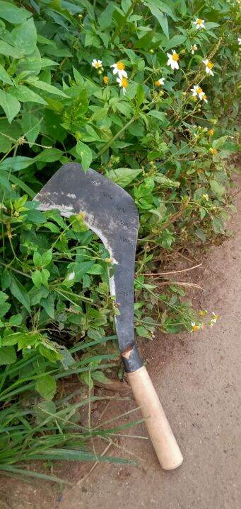 parang rumput/parang babad | Lazada Indonesia