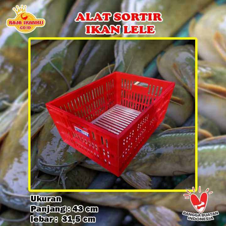 Alat Sortir Lele Konsumsi Isi -/+ 10 Ekor Per Kg Bahan Alumunium ...