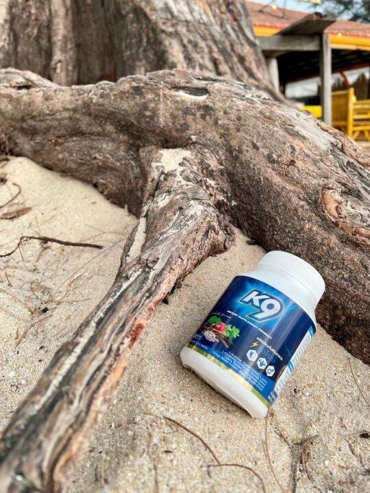 เคไนน์ K9 10 กระปุก(บัตรตัวแทน) สมุนไพรบำรุงร่างกายเพื่อผู้ชาย ของแท้ 100% | Lazada.co.th
