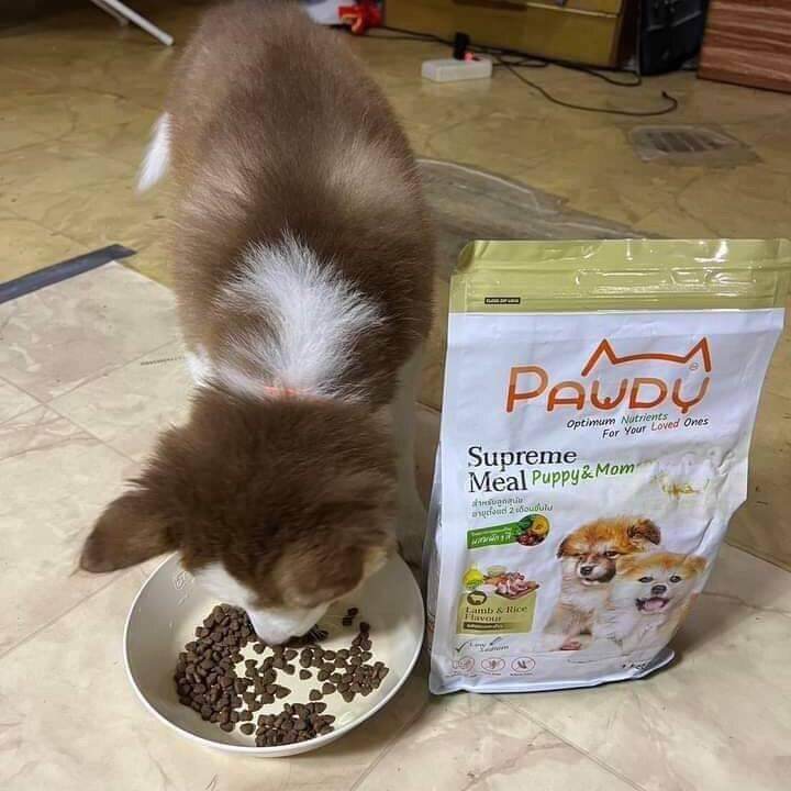 อาหารสุนัข พอดี้ PAWDY เกรดพรีเมี่ยม | Lazada.co.th