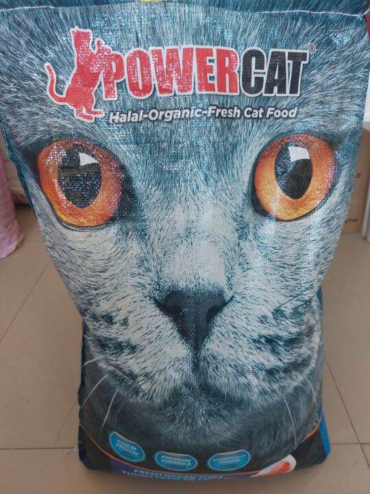 POWER CAT | Lazada PH