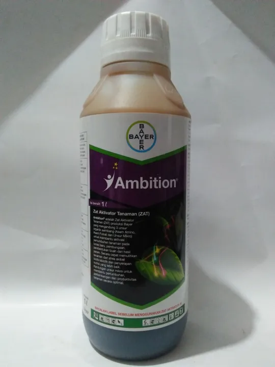 AMBITION BAYER 1ltr | Lazada Indonesia