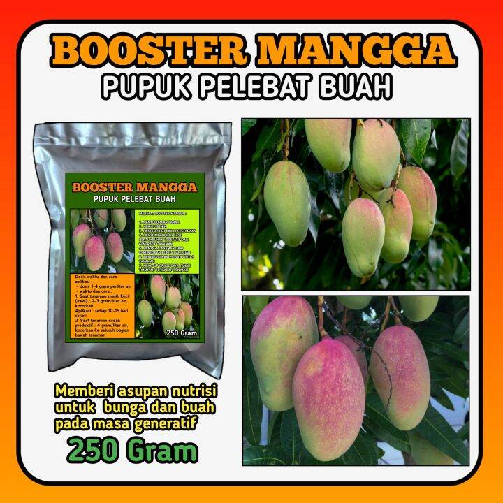 Booster mangga pupuk pelebat buah nutrisi perangsang bunga dan buah anti rontok kemasan 250 gram ...