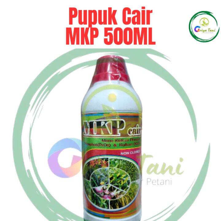 Pupuk Cair MKP plus ZPT Non Chlored Pupuk Pembuahan | Lazada Indonesia
