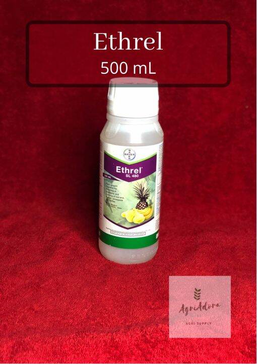 Ethrel SL 480 Plant Growth Regulator 500 mL (Bayer) | Lazada PH