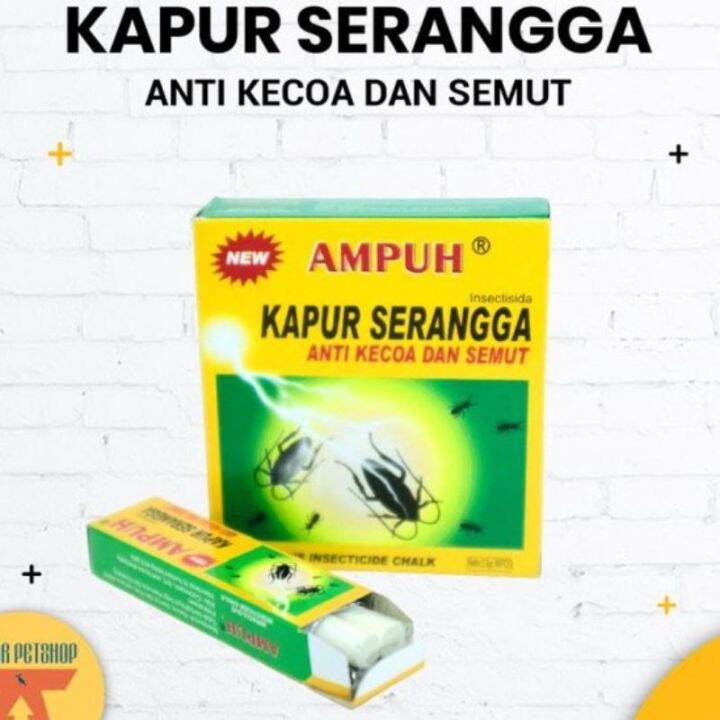 Kapur Ajaib - Kapur Semut - Kapur Barus Serangga | Lazada Indonesia