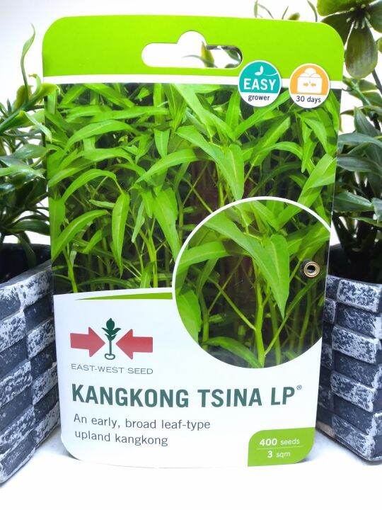 Kangkong Tsina LP East-West Seeds(400 seeds) | Lazada PH