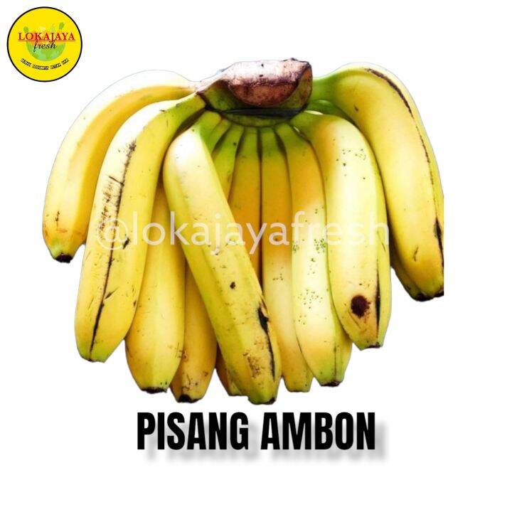 buah pisang ambon 1 sisir super asli | Lazada Indonesia