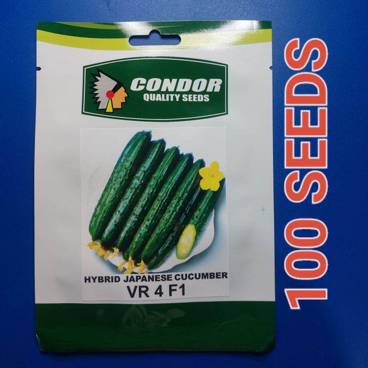 VR 4 (100 SEEDS) HYBRID JAPANESE CUCUMBER SEEDS BY CONDOR SEEDS | Lazada PH