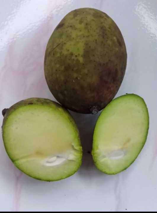 buah pakel muda pres 1 kg | Lazada Indonesia