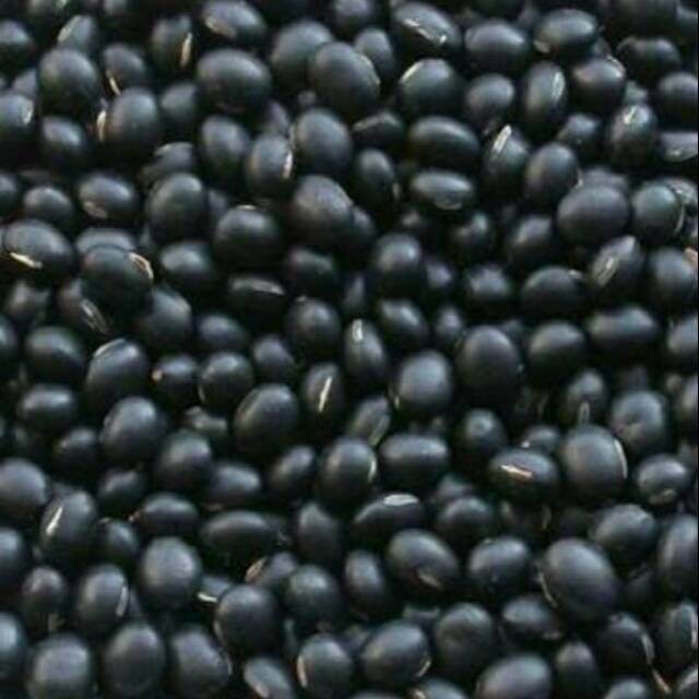 BENIH KEDELAI HITAM 1 KG | Lazada Indonesia