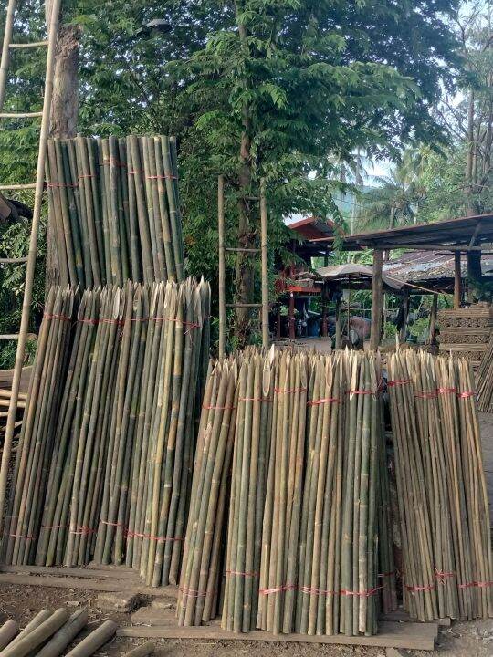 NaNaPan ไม้ไผ่ปลายแหลม หลักยึดต้นไม้(แบบลำ) ความยาว 100 cm. จำนวน 1 มัด ...