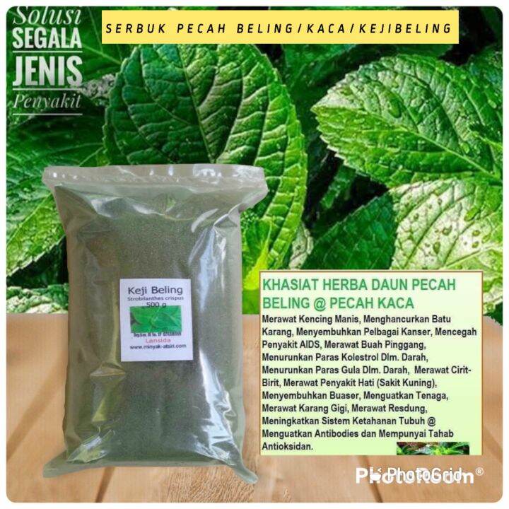 SERBUK DAUN PECAH BELING/PECAH KACA(100g) | Lazada