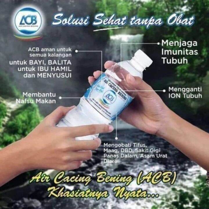 Air cacing bening original asli 330 ml untuk demam dan tipes | Lazada ...