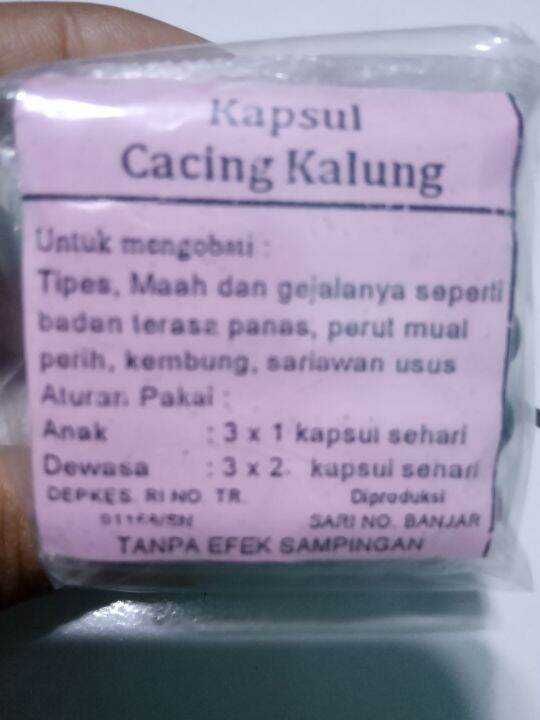 herbal kapsul cacing kalung untuk mengobati tipes, maag & gejala ...
