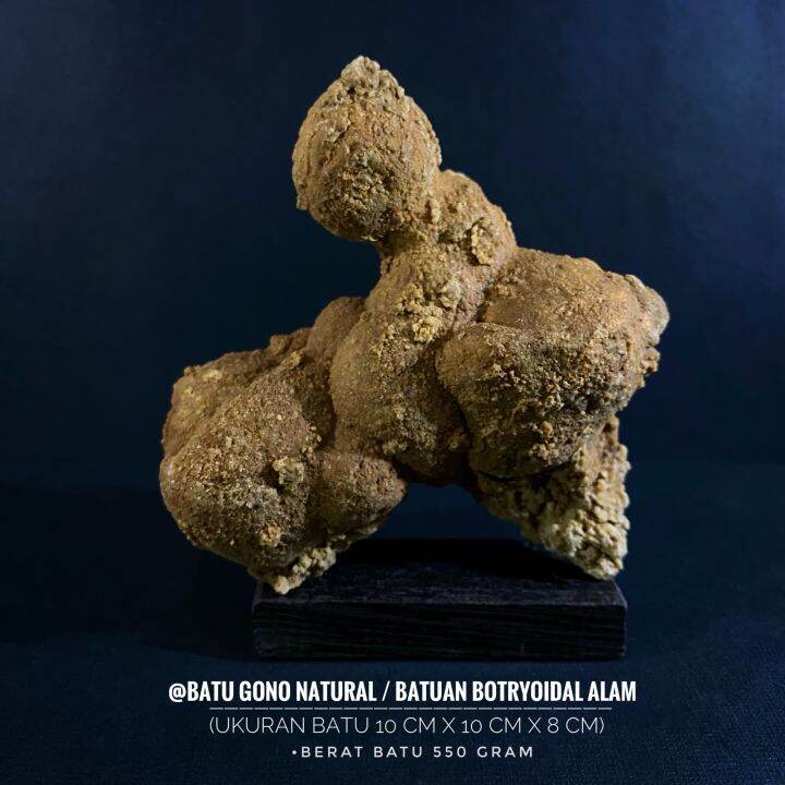 Batu Gono Tumpuk Natural L9 atau Fosil Jamur Melinjo atau Fosil ...