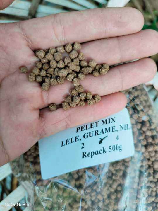 pelet ikan lele bawal nila patin MIX Tersedia ukuran 2 3 4 | Lazada ...