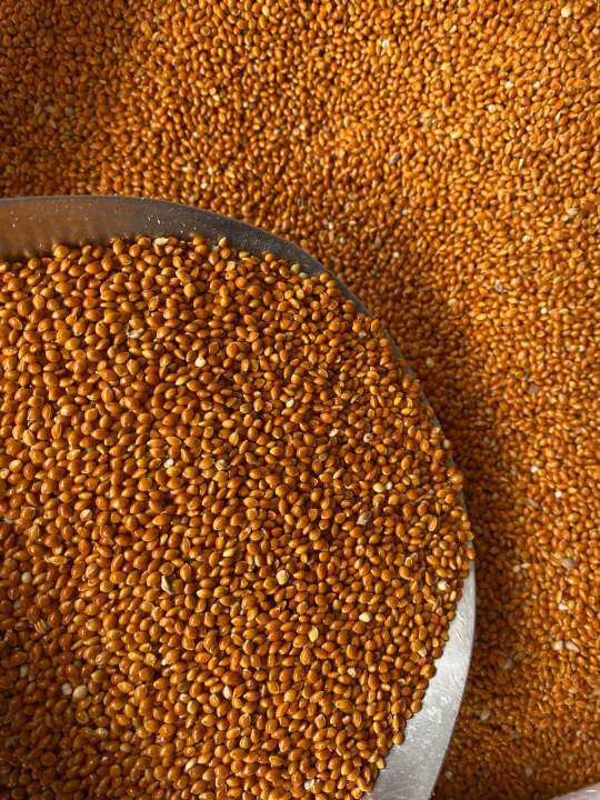 Red Millet (1 Kilo) | Lazada PH