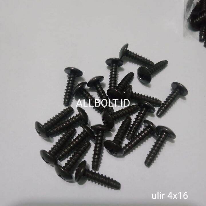 ( paket 10pcs) BAUT ULIR 4×16 - BAUT BODY HONDA MATIC | Lazada Indonesia