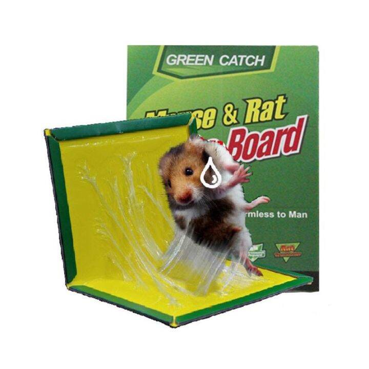 STICKY MOUSE TRAP RAT BOND TRAP STICKY MICE / RODENT GLUE BOARD BAIT ...