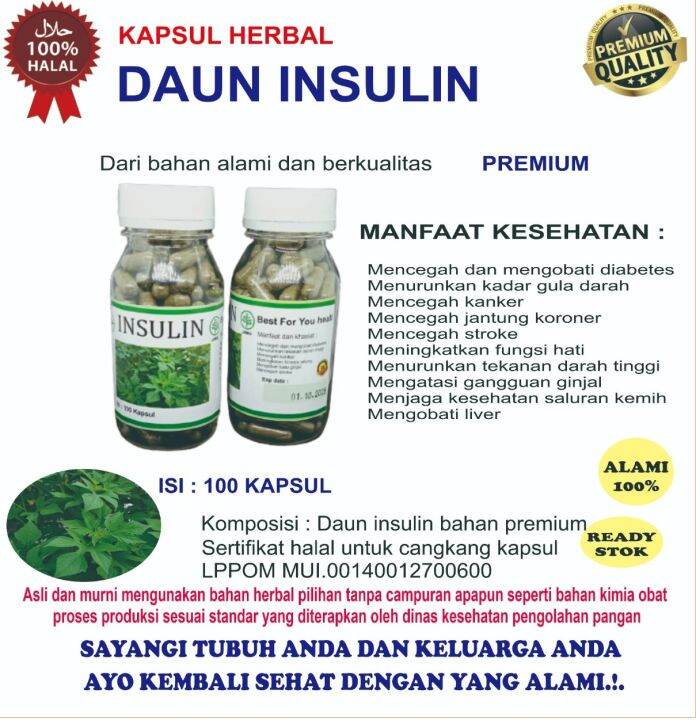 Kapsul Insulin Herbal Untuk Penyembuhan Diabetes isi 100 Kapsul ...