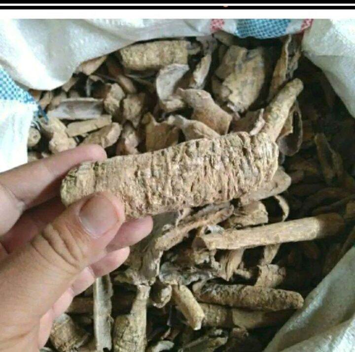 kulit kayu pule kering original 1kg | Lazada Indonesia