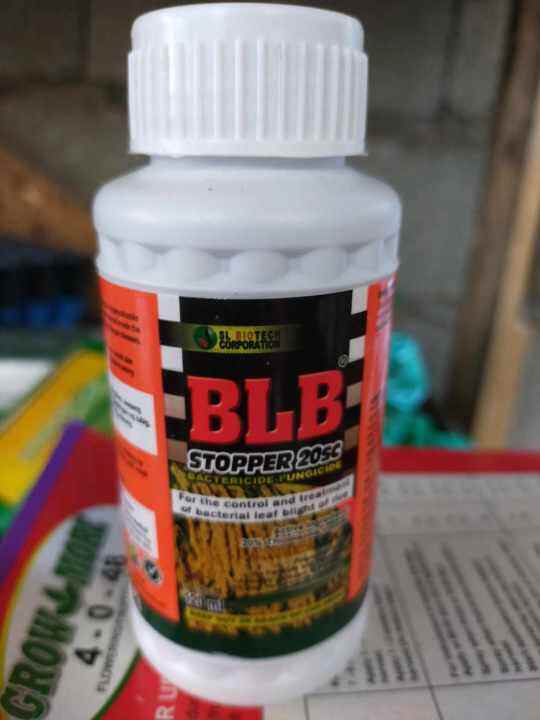 BLB BACTERICIDE/FUNGICIDE 120ML FOR RICE | Lazada PH