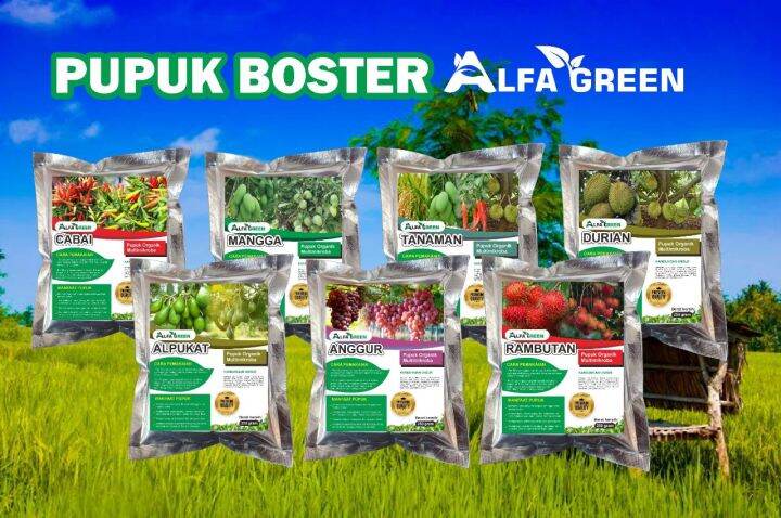 Pupuk Booster Tanaman Alfagreen | Lazada Indonesia