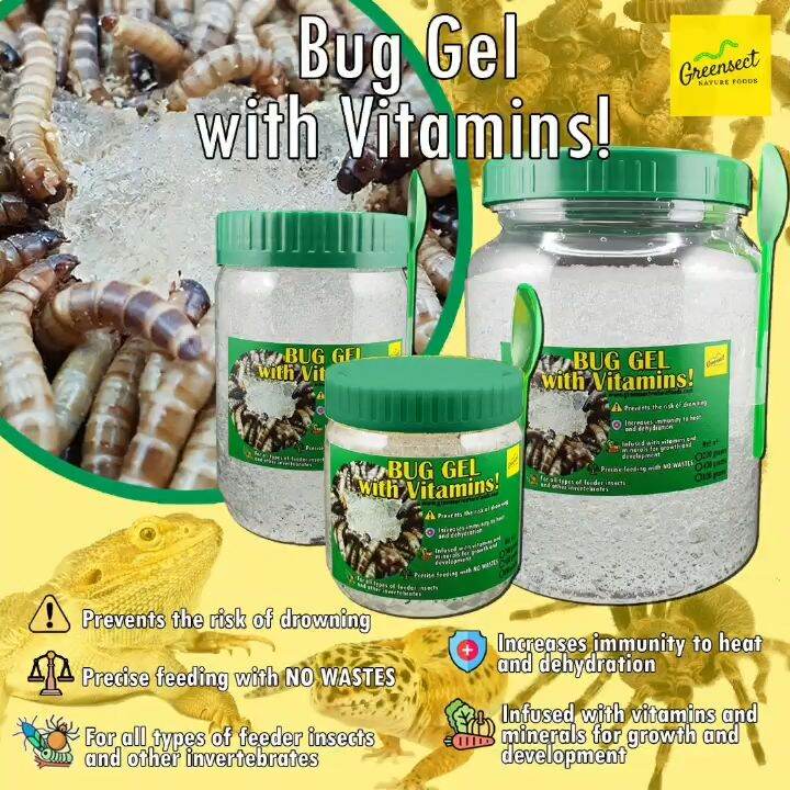 Bug Gel with Vitamins Bug Crystal by Greensect Nature Foods | Lazada PH