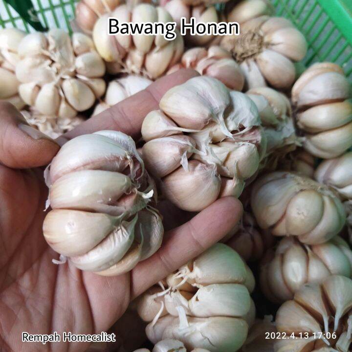 Bawang Putih Honan 1/2 kg | Lazada Indonesia