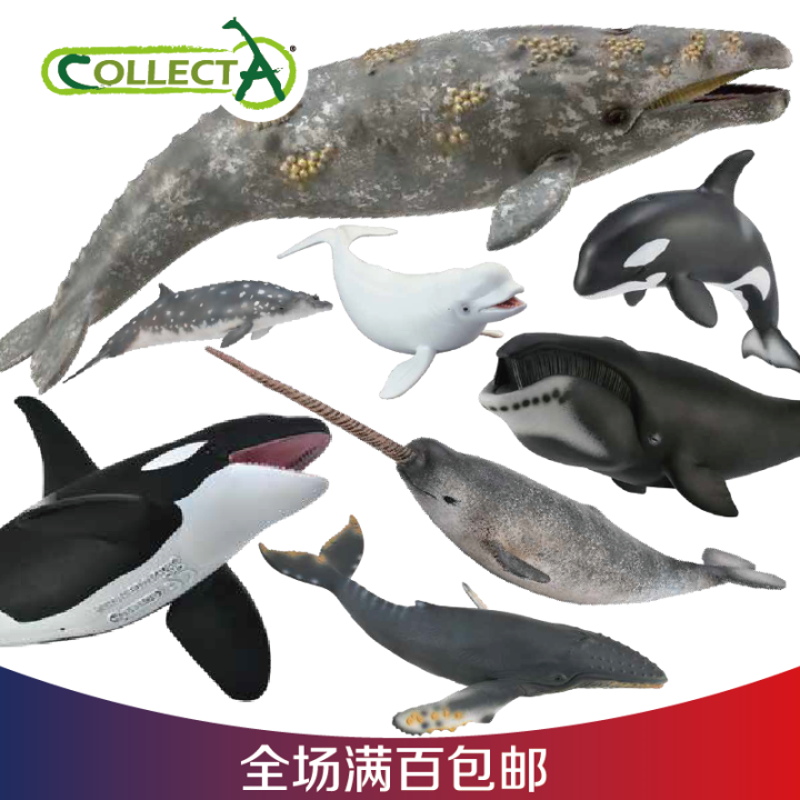 Collecta Whale Marine Life Model Toy Single Horn Whale Killing Killer ...