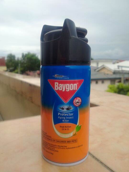 BAYGON PROTECTOR FLYING INSECT KILLER (DUAL ACTION 2 IN 1) 300ML ...