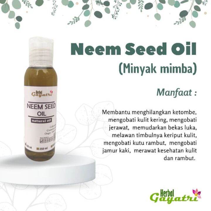 neem seed oil 100ml - minyak biji mimba original | Lazada Indonesia