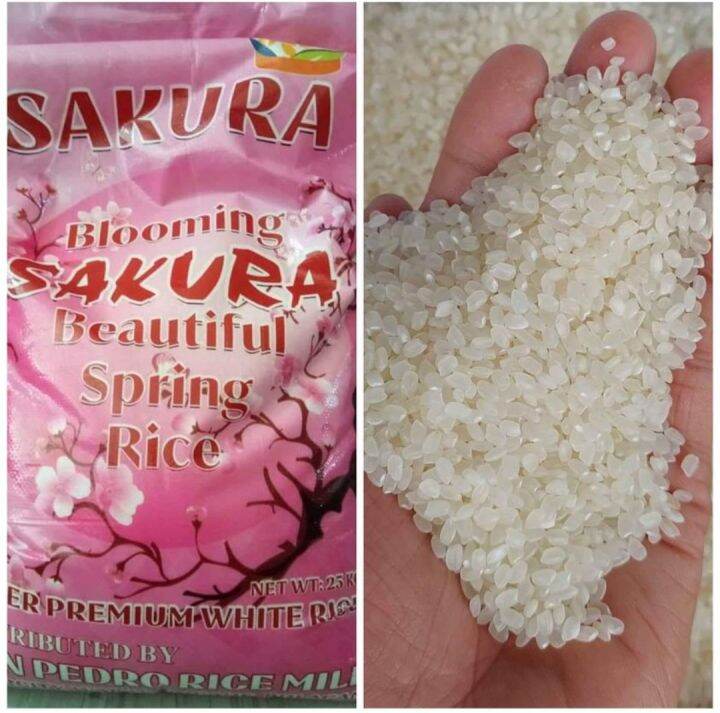 SAKURA JAPANESE RICE & SUSHI JAPANESE RICE 25KG | Lazada PH