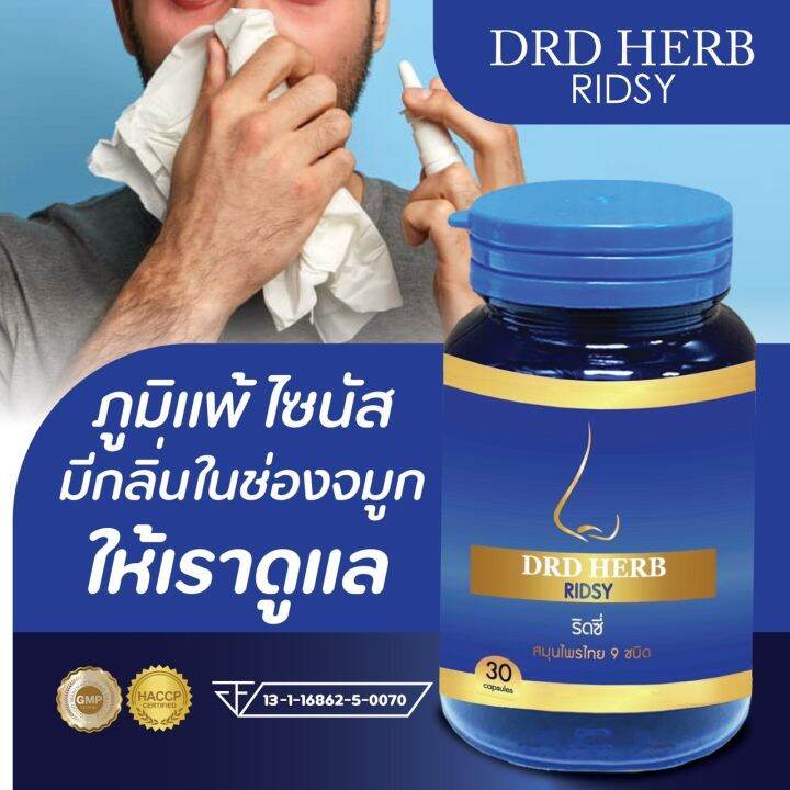 ไซนัส ภูมิแพ้ ริดสีดวงจมูก DRD HERB RIDSY ริดซี่ สมุนไพร ช่วยได้ - ของแท้ ส่งไว | Lazada.co.th