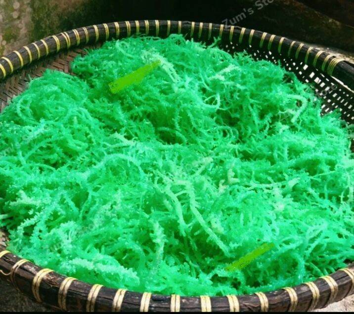 250 GRAM~RUMPUT LAUT HIJAU FRESH~RUMPUT LAUT SEGAR~BAHAN SIRUP | Lazada ...