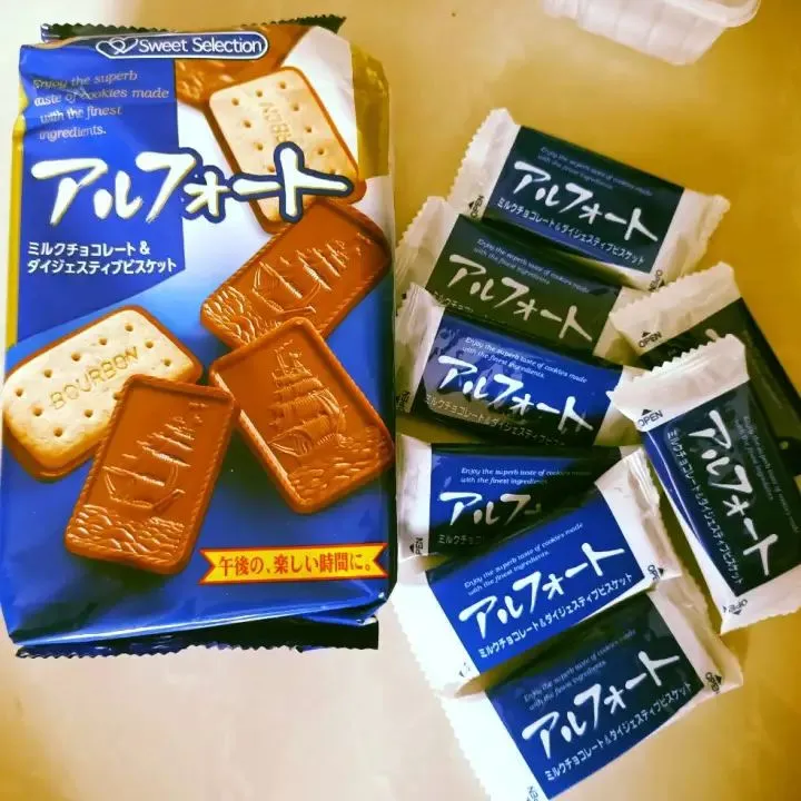 BOURBON ALFORT Chocolate BISCUITS 10pcs 1 pack Authentic Japan | Lazada PH