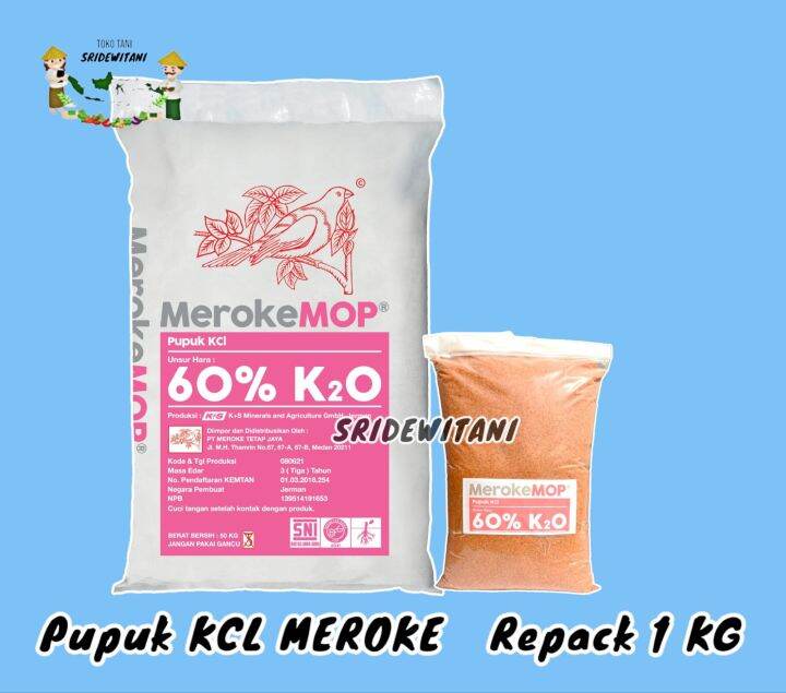 Pupuk KCL MEROKE MOP Repack 1 KG Pupuk Pembesar Umbi dan Buah Semua ...