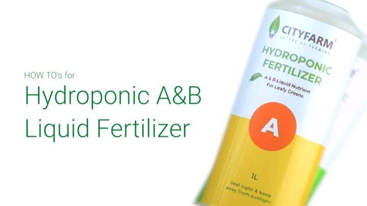 Hydroponics A & B Liquid Fertilizer for Leafy Greens | Lazada