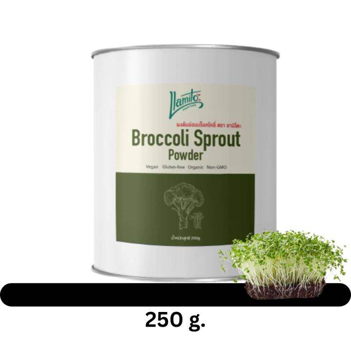 Broccoli Sprout Powder ผงต้นอ่อนบร็อคโคลี่ ผงบล็อคโคลี่ 100% ขนาด 250 ...