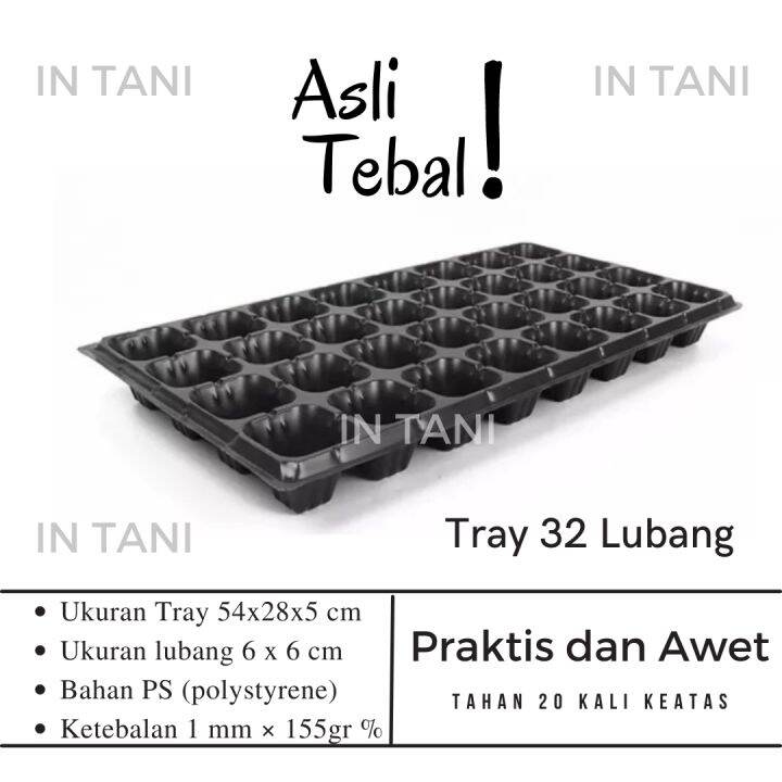 TRAY SEMAI 32 LUBANG TEBAL | Lazada Indonesia