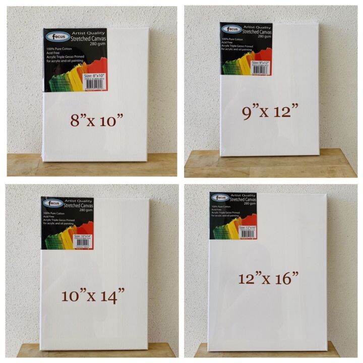 Focus Stretched Canvas Gesso Primed | Lazada PH